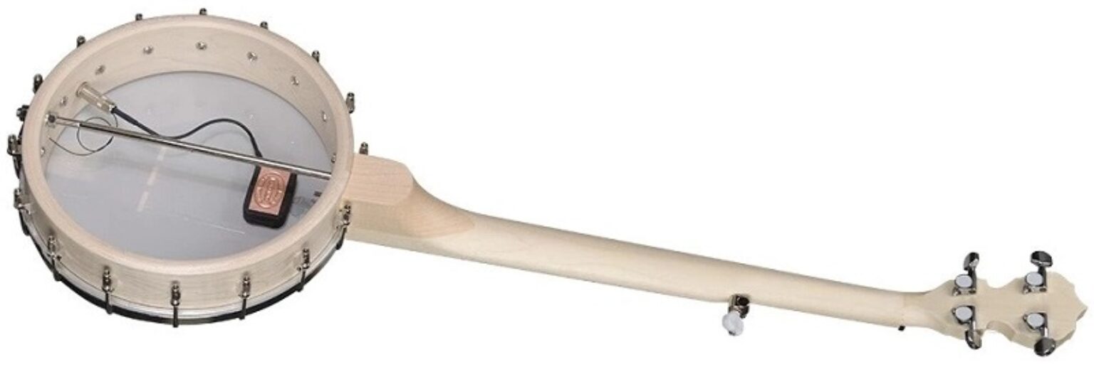 19 Amazing Fun Facts About Banjo You Might Not Know