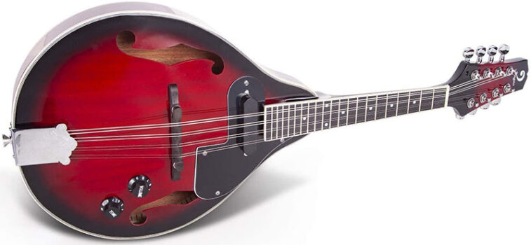 20 Interesting Facts About The Mandolin - Learn More!