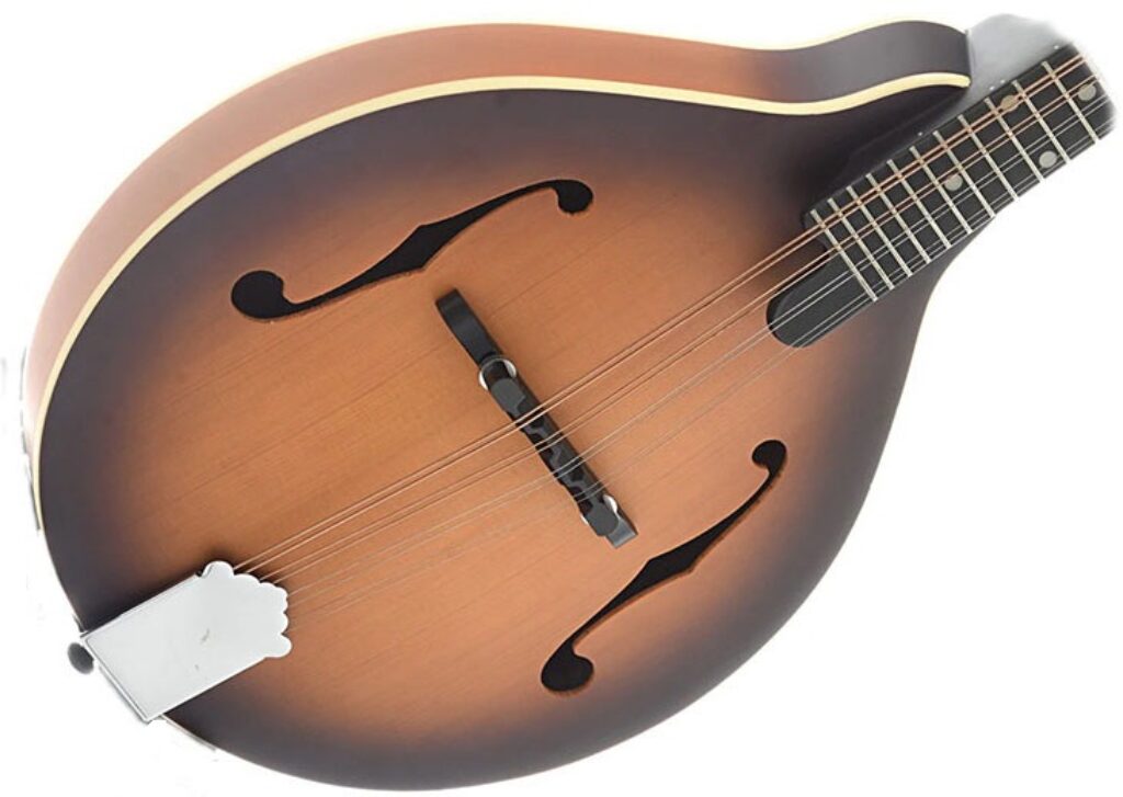 20 Interesting Facts About The Mandolin - Learn More!
