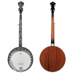 Ibanez B200 Banjo Review (2023) - Amazing 5-String Banjo!