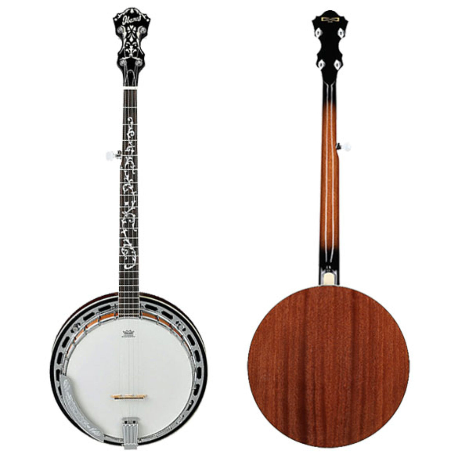 Ibanez B200 Banjo Review (2023) - Amazing 5-String Banjo!