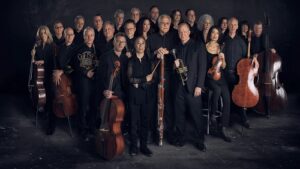 What Is A Cello? Facts, History, And Usage Of Violoncello!