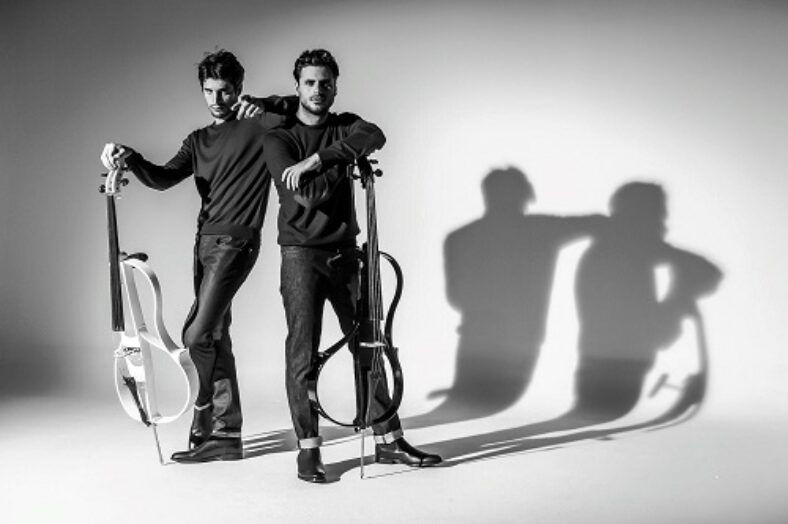 What Is A Cello? Facts, History, And Usage Of Violoncello!