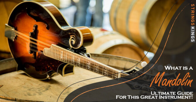 What Is A Mandolin? Ultimate Guide For This Great Instrument! (2023 ...