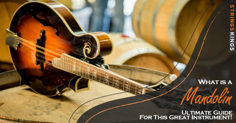 What Is A Mandolin? Ultimate Guide For This Great Instrument! (2023 ...