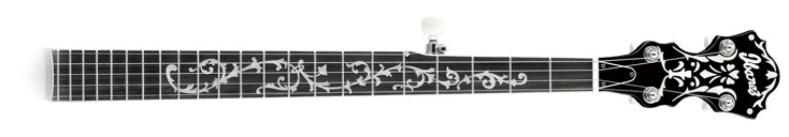 Ibanez B200 Banjo Review (2023) - Amazing 5-String Banjo!
