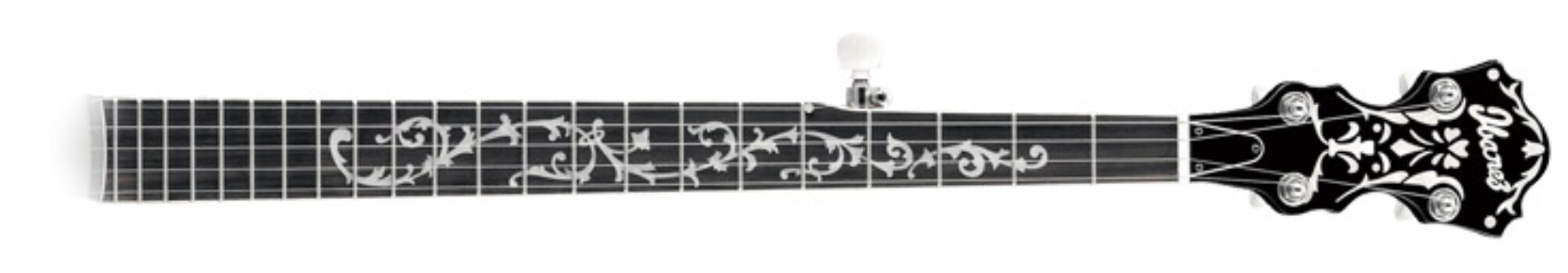 Ibanez B200 Banjo Review (2023) - Amazing 5-String Banjo!