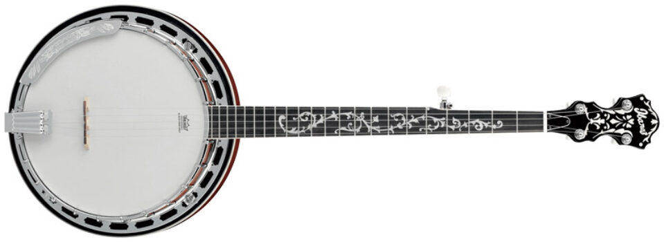 Ibanez B200 Banjo Review (2023) - Amazing 5-String Banjo!