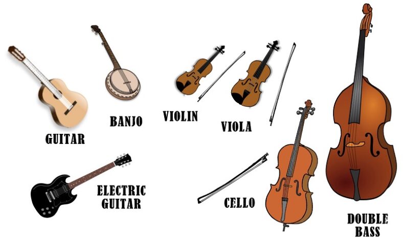 Choosing a First Stringed Instrument for Your Musical Journey? Amazing ...