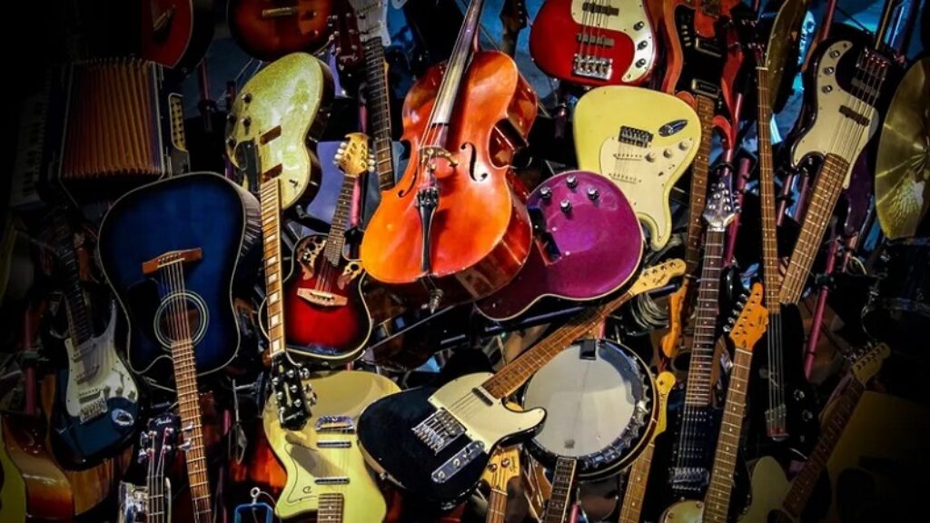 Choosing a First Stringed Instrument for Your Musical Journey? Amazing ...
