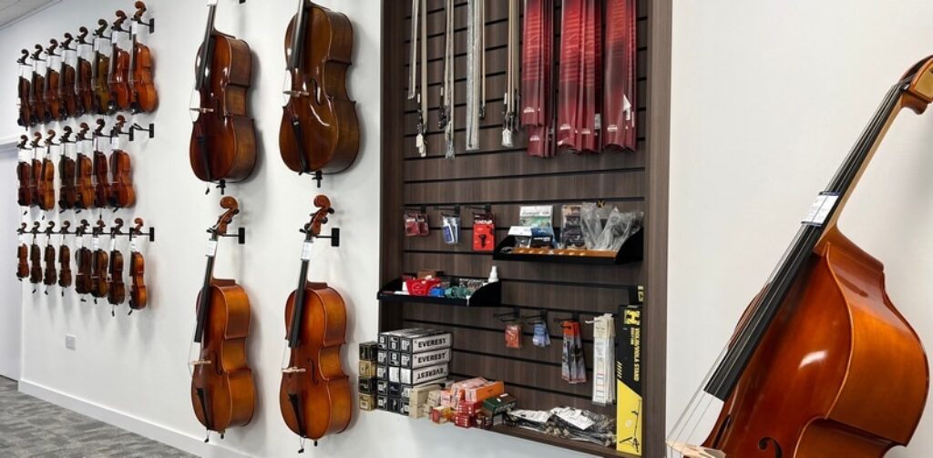 Choosing a First Stringed Instrument for Your Musical Journey? Amazing ...
