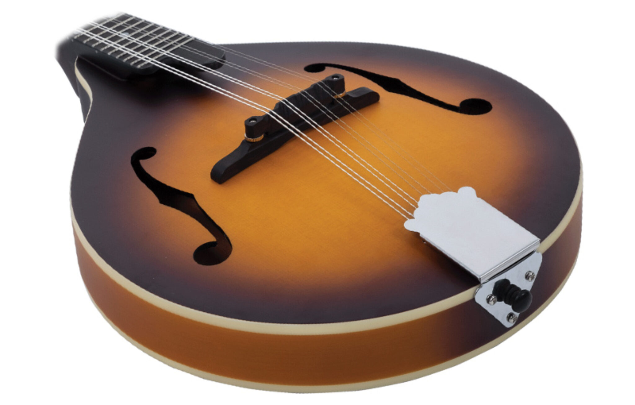Recording King RAM-3-TS Mandolin - Great 2023 Review!