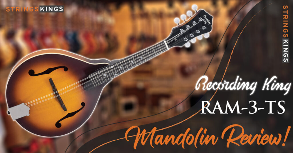 Types Of Mandolins - All You Need To Know, Great 2023 Guide!