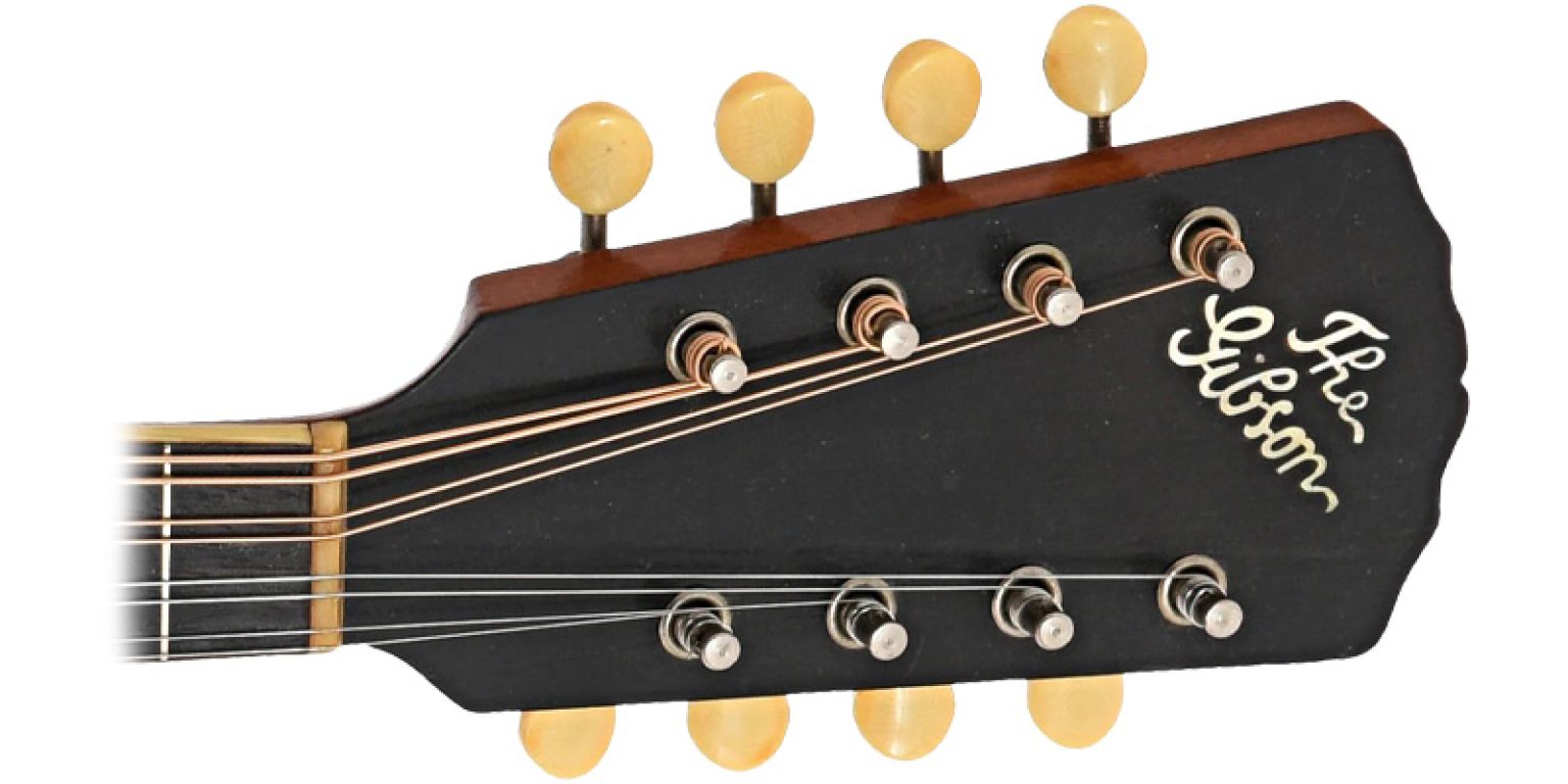 All Mandolin Parts - Anatomy And Structure - 2023 Guide!