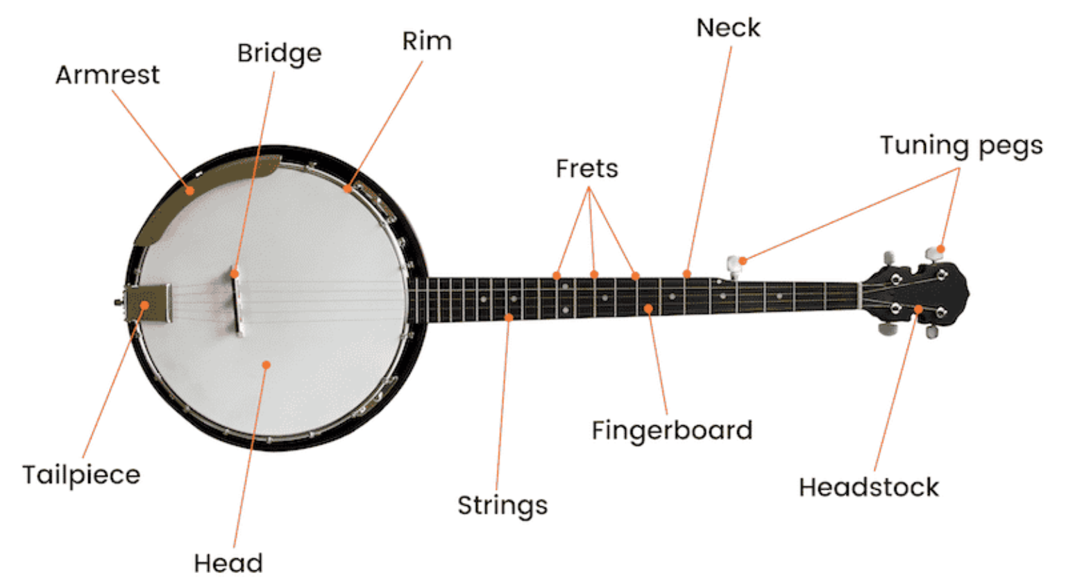 All Banjo Parts - Anatomy And Structure, Learn More (2023)!