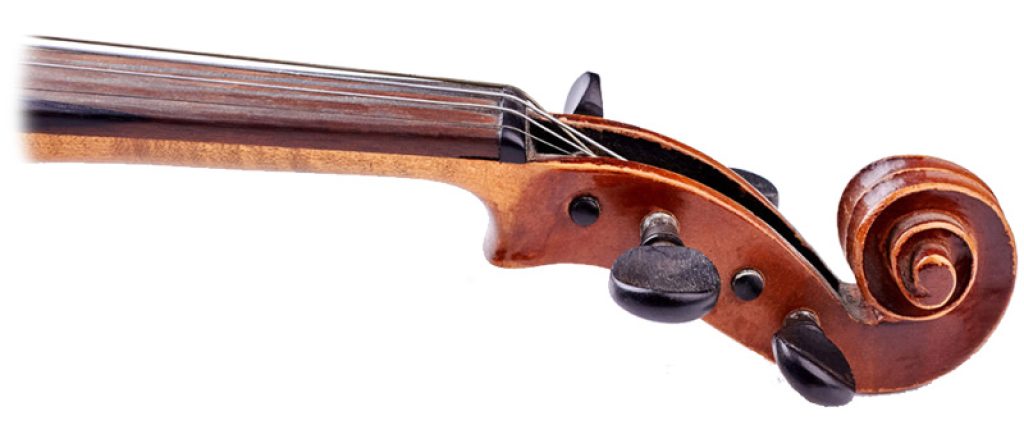 Cello Parts - Learn About Cello Structure And Anatomy 2023!