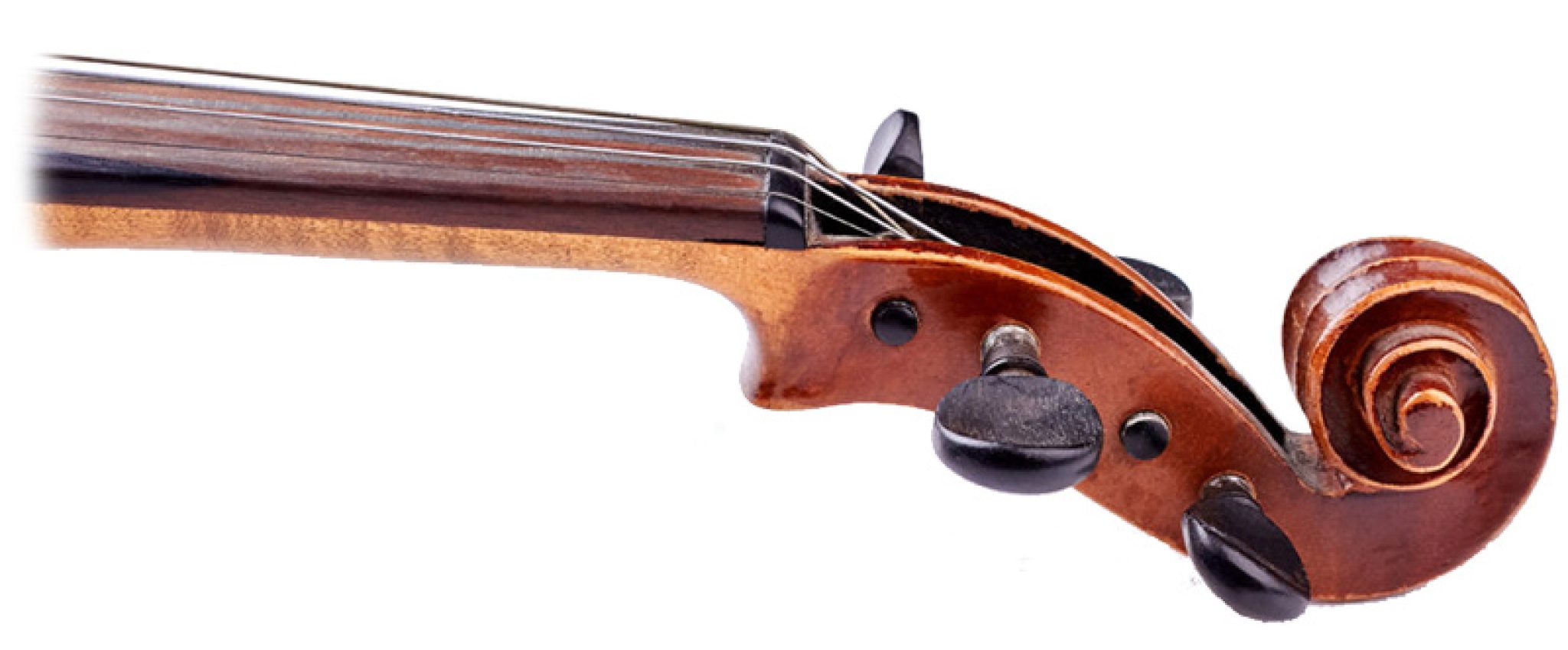 Cello Parts - Learn About Cello Structure And Anatomy 2023!